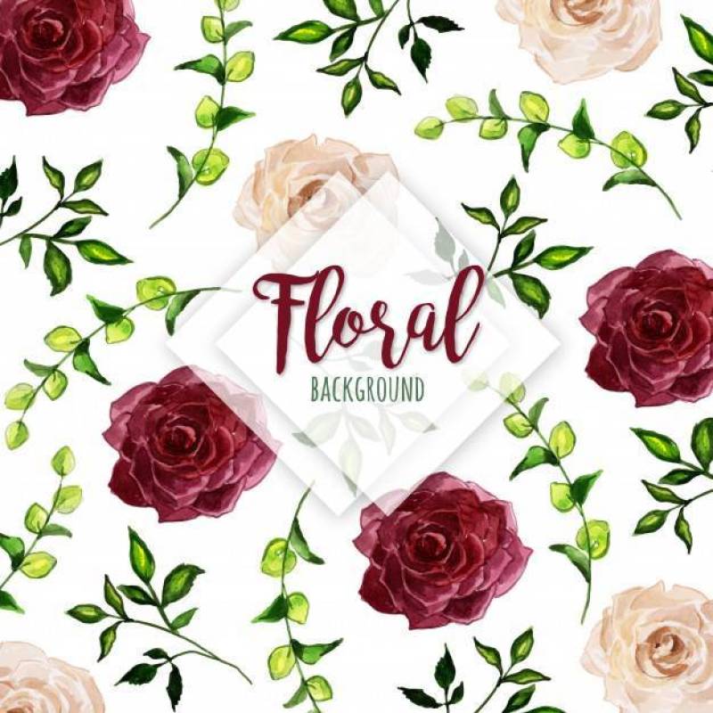 Beautiful Watercolor Floral And Leaves Pattern Background 矢量 【ovo图库】